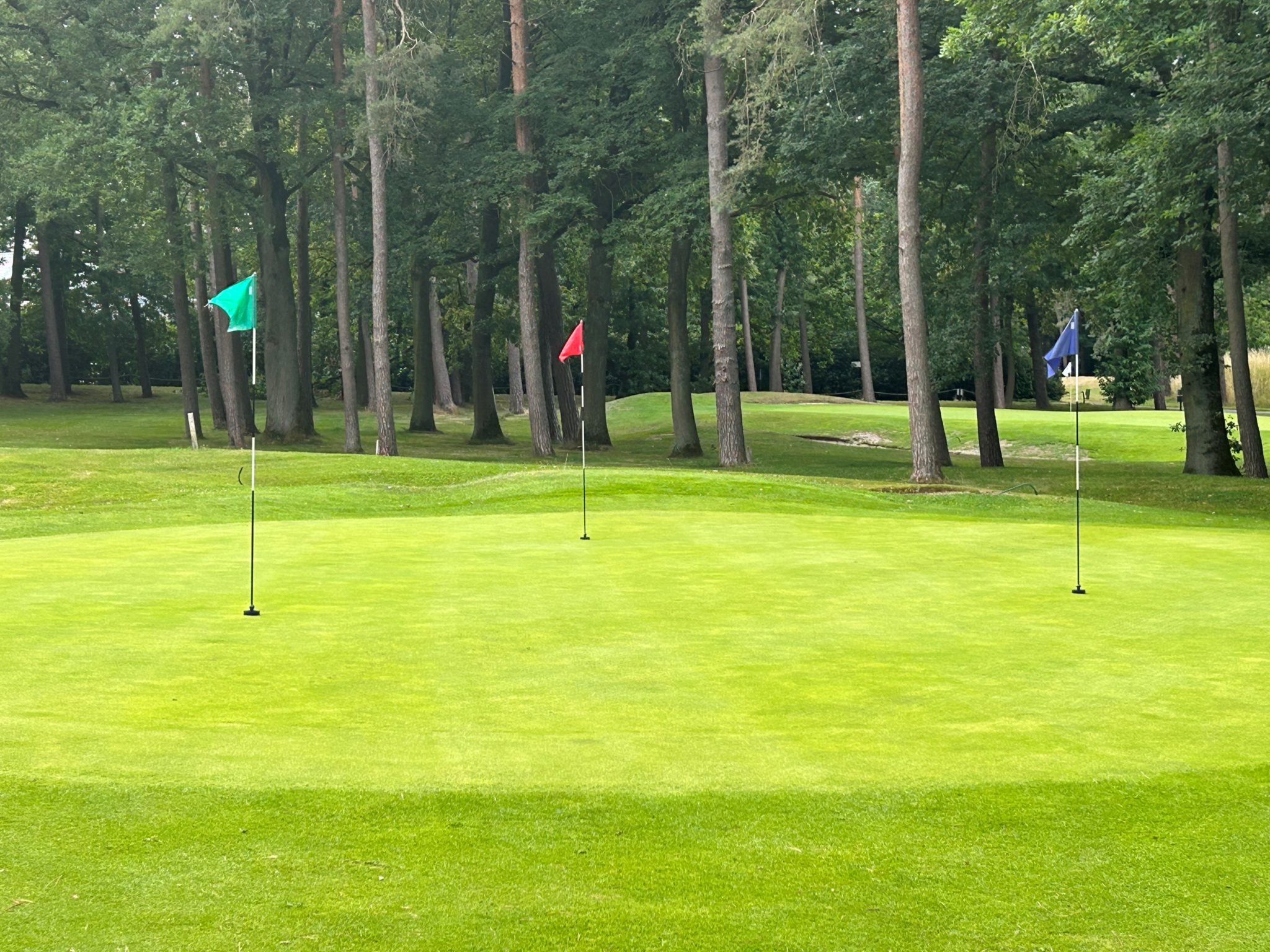 Les zones d’entraînement – Royal Bercuit Golf Club